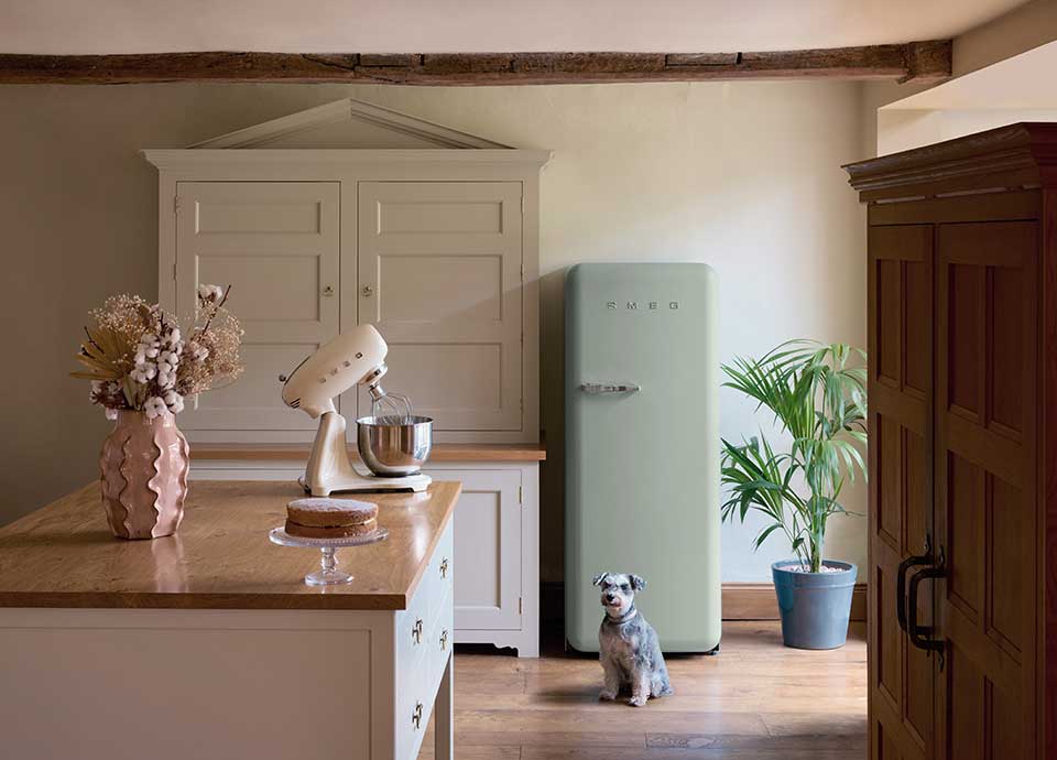 Fridge - Refrigeration - Retro - Cooling | Smeg UK